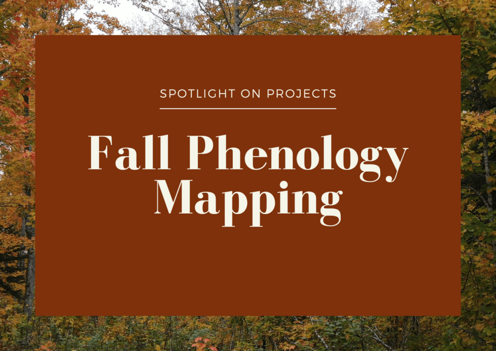 Spotlight on Projects - Fall Phenology Mapping - Northern Hardwoods ...